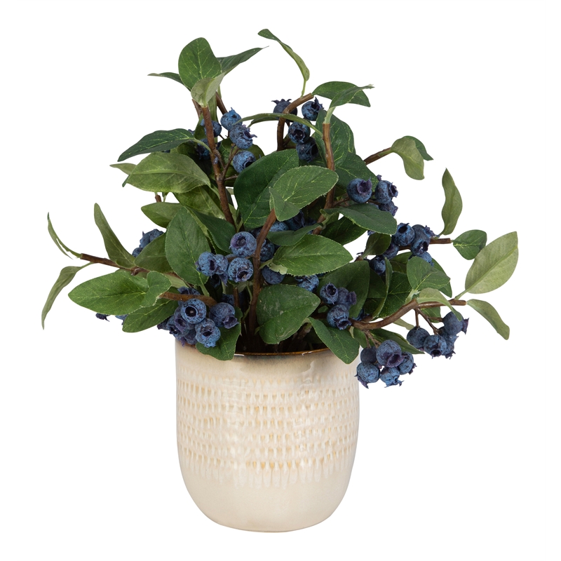 Uttermost Blueberry Fields Contemporary Ceramic/Plastic Flower Pot in ...