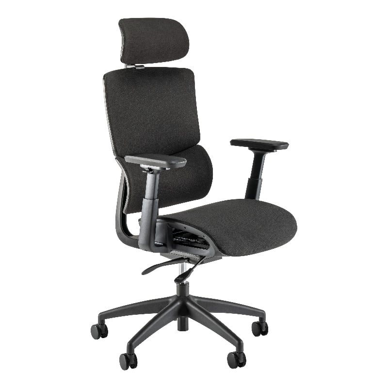 Align High Back Ergonomic Office Chair with Lumbar Support in Black ...