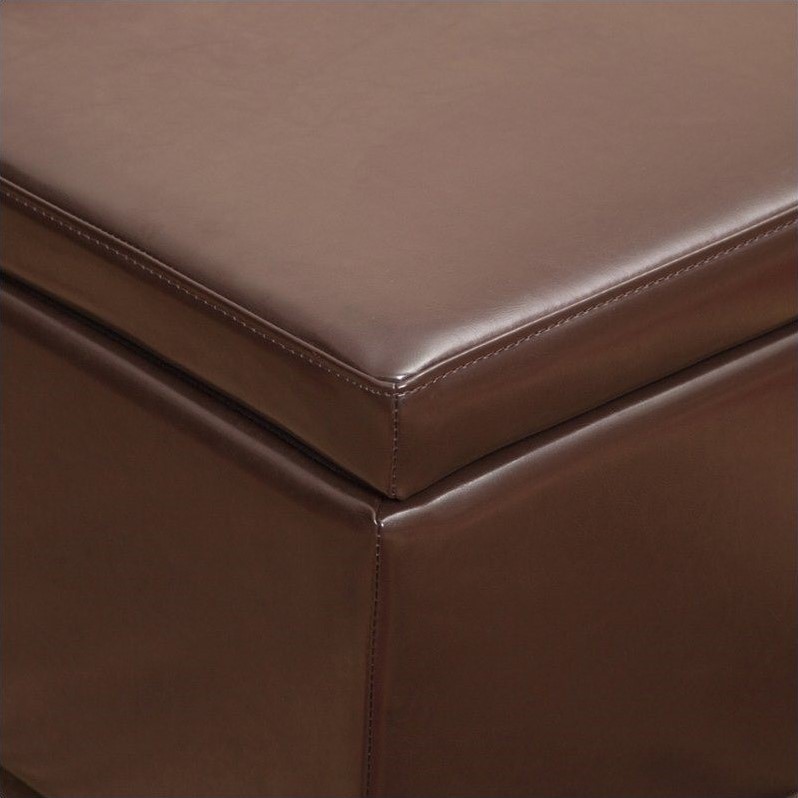 Noble House Cara Leather Storage Ottoman in Brown - 803712CY