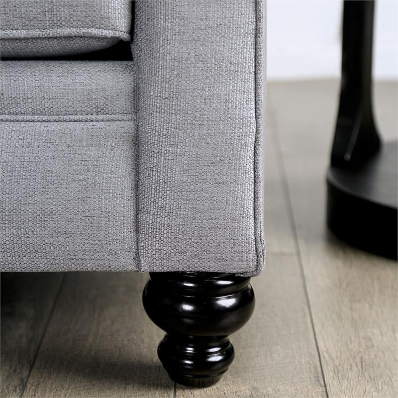 Furniture of America Hollie Transitional Fabric 2-Piece Sofa Set in ...