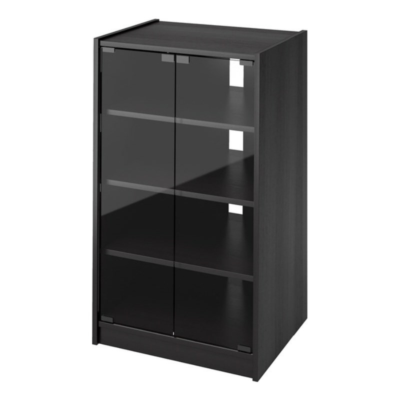 Bowery Hill Contemporary Glass Enclosed Audio Rack in Ravenwood Black