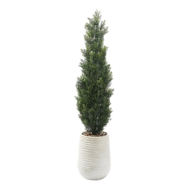 Pemberly Row Contemporary 5' Cedar Topiary in White Artemis Planter