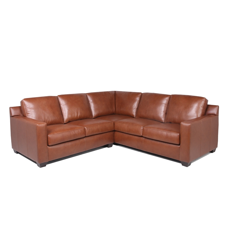 Lauren Leather 2 Piece Sectional in Camel | Cymax Business