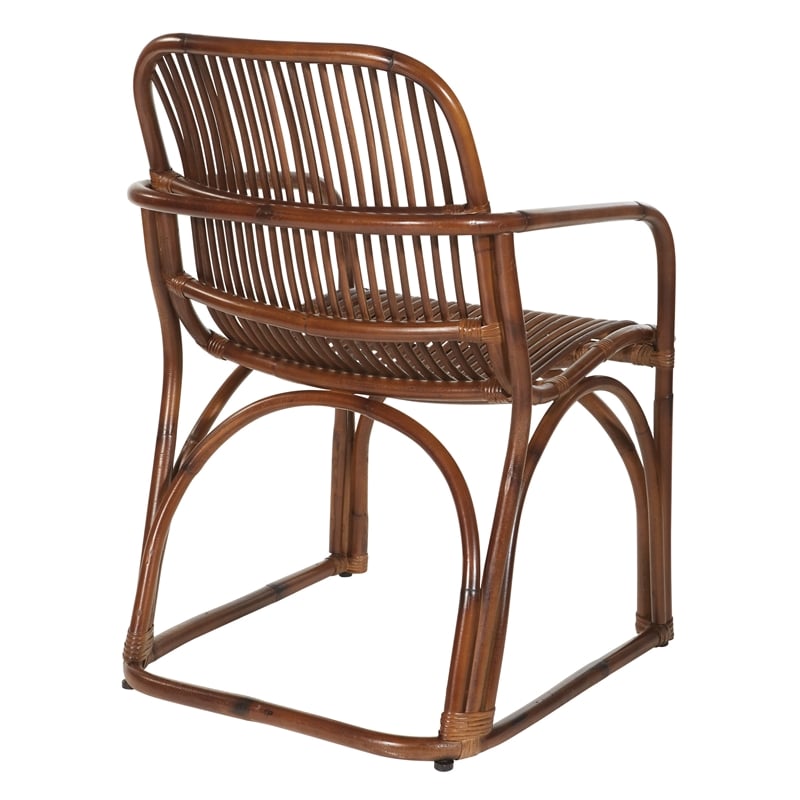 Hastings Chair with Brown Stained Rattan Frame and Sled Base Fully ...