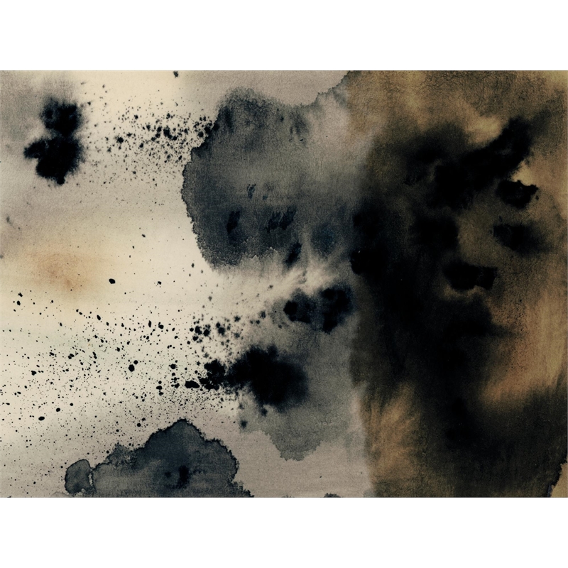 Giant Art 72x54 Ember II Fine Art Giant Canvas Print in Multi-Color ...